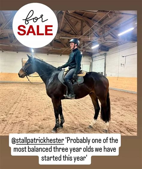 For Sale On Behalf Of Owner Stall Patrick Hester Norway Facebook