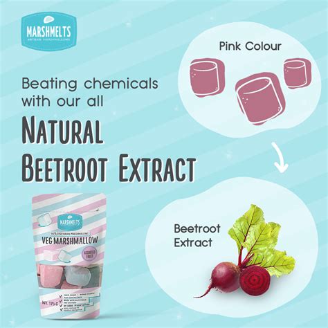 Assorted Fruit Veg Marshmallow Marshmelts Kandee Factory Online