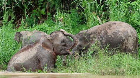 This Intrepid Foundation Partner Is Creating Food Solutions And