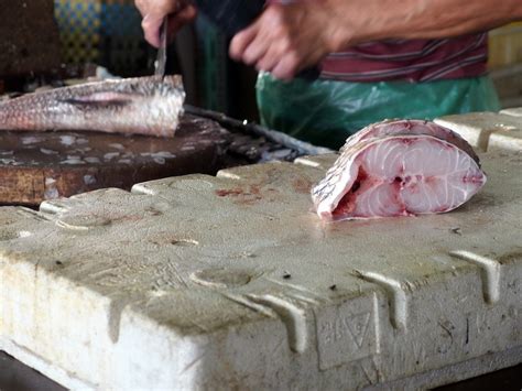 무료 이미지 식품 부엌 시장 물고기 빵 굽기 일본 먹다 쿡 회 야채 전통 말레이시아 먹을 수 있는