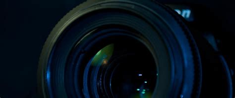 Yolov8 Classifier Trained On A Custom Dataset Dev Community