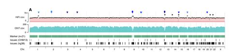 How To Draw Coverage Plots From Your Article Completehuman Genome · Issue 42 · Marblchm13
