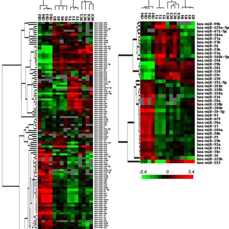 Mirna Expression Profiling Of Dlbcl Cell Lines A Unsupervised