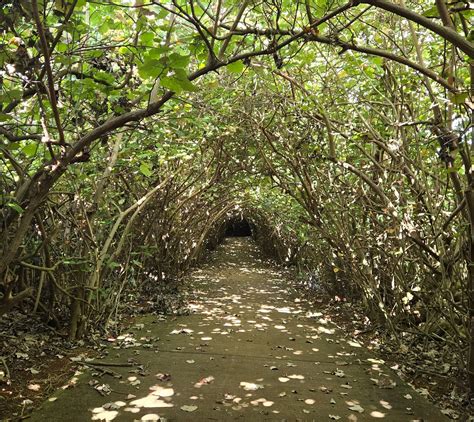 Rejection Is Redirection Sometimes The Thing We Want To Work By The