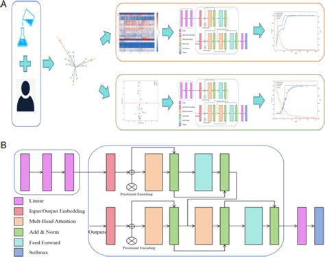 A Transformer Based Deep Learning Model For Identifying The Occurrence
