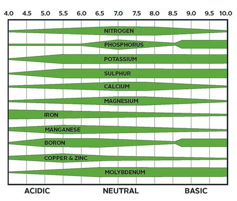 Factors Influencing Nutrient Availability Soil PH NutriAg