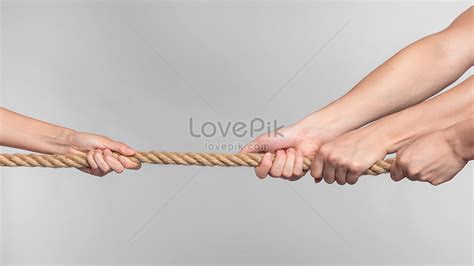 한 가닥 밧줄로 줄다리기 이미지 사진 501061636 무료 다운로드