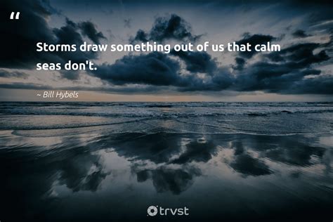 Calm In The Storm Quotes