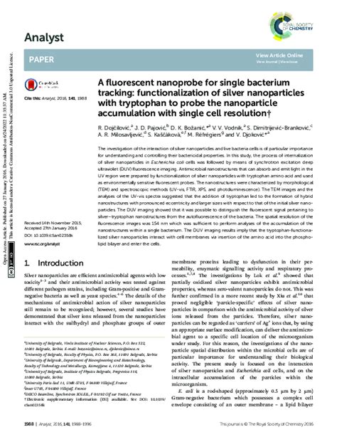 Pdf A Fluorescent Nanoprobe For Single Bacterium Tracking