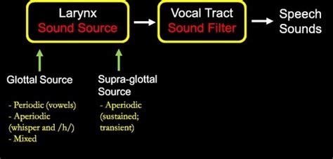 Acoustic Theory Source Filter Model Of Speech Production Flashcards Quizlet