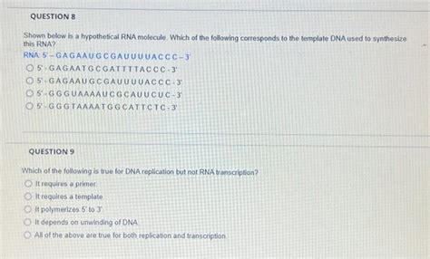 Solved Shown Below Is A Hypothetical RNA Molecule Which Of Chegg Com