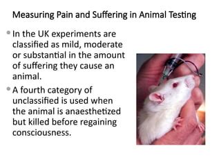 Msc Phy Animal Ethics In Biomedical Laboratoriespptx