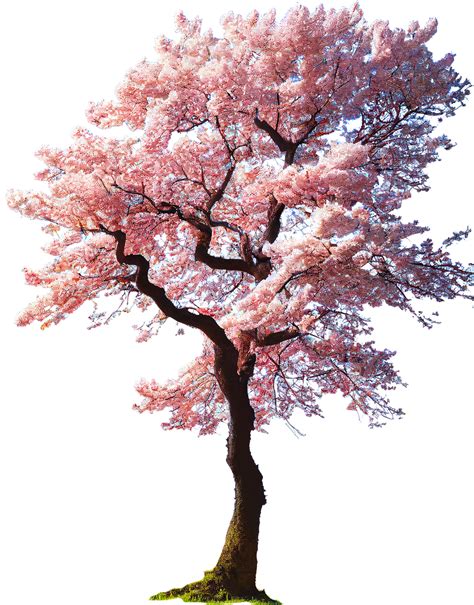 超过 600000 张关于 Ai生成背景墙”和 背景”的免费图片 Pixabay