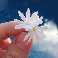 Paper Of Art On Behance