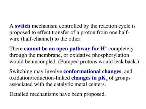 Oxidative Phosphorylation Ppt Download