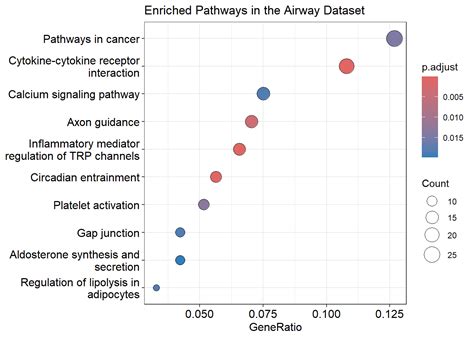 2 Pathway Analysis Using The Clusterprofiler Package In R Portfolio