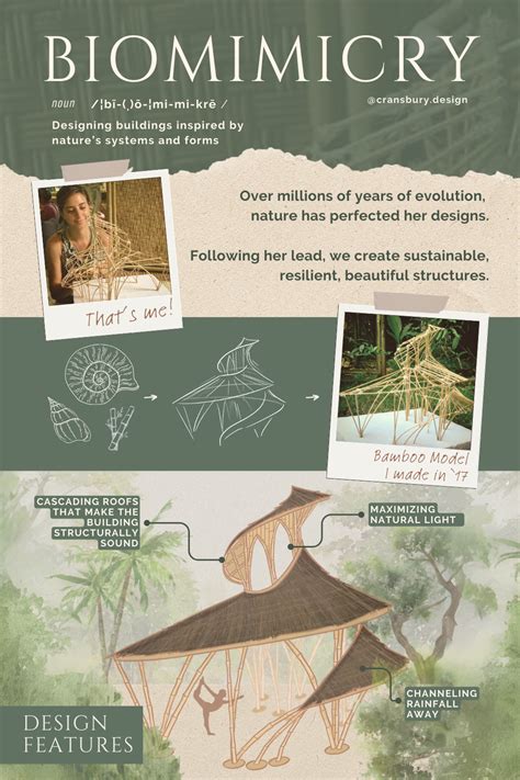 Biomimicry Nature Inspired Design In Action In 2025 Architecture Illustration Landscape