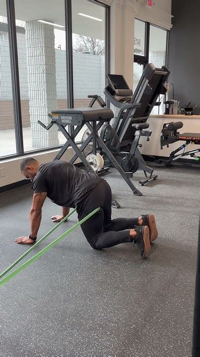 Quadruped Banded Hip Lateral Distraction Internal Rotation Youtube