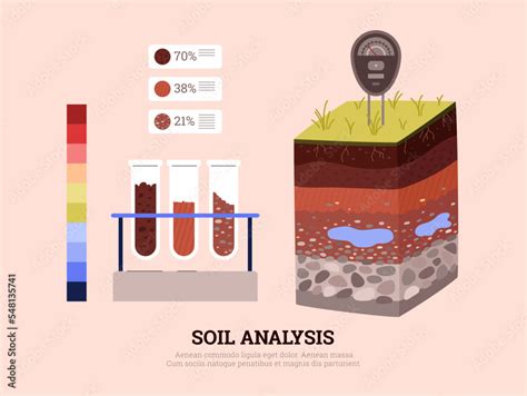Soil Analysis Infographic Showing Section Of Fertile Soil Layers Flat Vector Stock Vector