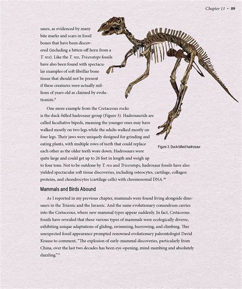 The Fossils Still Say No Institute For Creation Research