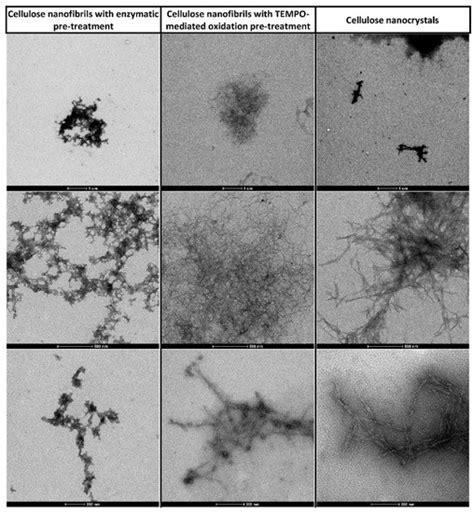 Journal Of Xenobiotics An Open Access Journal From Mdpi