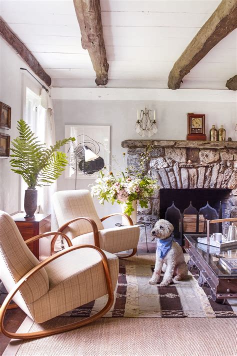 Living Room Ideas Cozy Modern