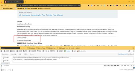 【burpsuite安全练兵场 服务端1】sql注入 17个实验(全)sql注入实验 Csdn博客 【burpsuite安全练兵场 服务端1】sql注入 17个实验(全)sql注入实验 Csdn博客
