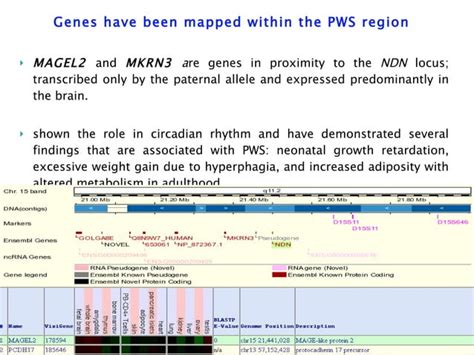 Genotype Phenotype Correlation In Prader Willi Syndrome