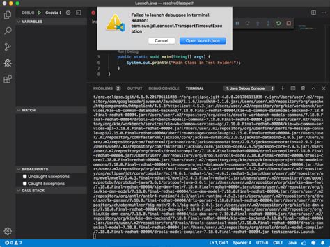 failed to launch debuggee in terminal with transporttimeoutexception on mac · issue 637