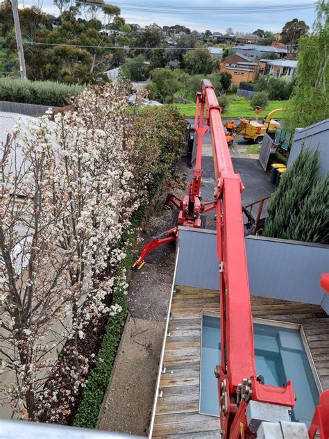 Tree Removal Geelong Wayne Barry S Tree Services