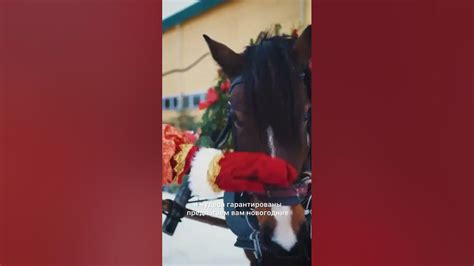 Где встретить Новый год 2025 с семьёй Newyear2025 Holiday Youtube