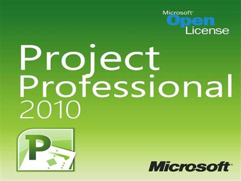project 2010 level 1 introduction and views qintil