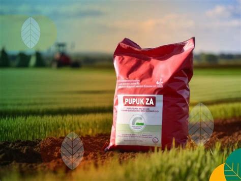 Mengenal Pupuk Za Dan Manfaatnya Bagi Tanaman Gokomodo