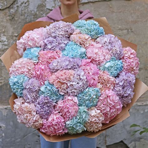 Гортензия разноцветная купить букет | Доставка цветов Москва | Интернет ...