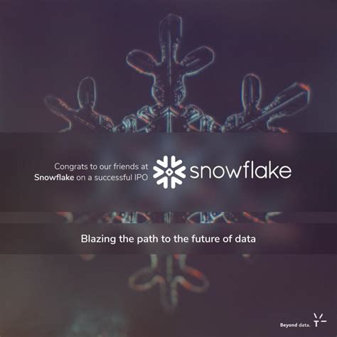 Snowflake Snowflakeipo Snowflakeandtada Data Digitaltransformation Digitalinnovation