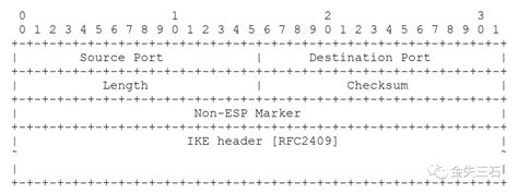 IPsec ESP 数据包的 UDP 封装 阿里云开发者社区