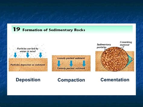 Sedimentary And Metamorphic Rocks