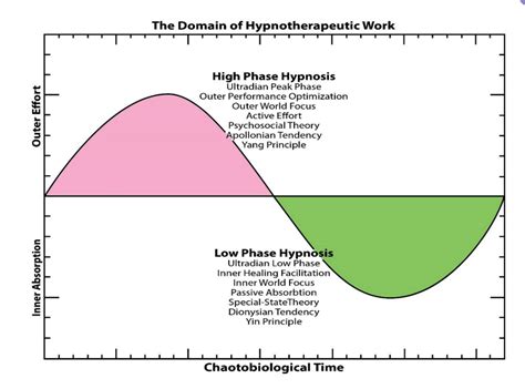 Psychotherapy And Quantum Field Theory Qft Art Omalley