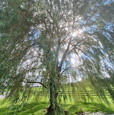 The Mooncatcher Project Added A The Mooncatcher Project