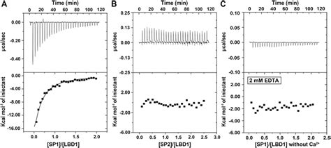 Itc Assay Of The Binding Of Lbd1 With Sp1sp2 The Thermogram And Download Scientific Diagram