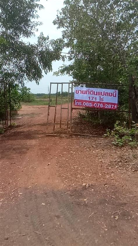 ขายที่ดินโฉนดครุฑแดง171ไร่ ตำบลหนองยาว อำเภอพนมสารคาม จังหวัดฉะเชิงเทรา ที่ดินร้อยแปด คอม