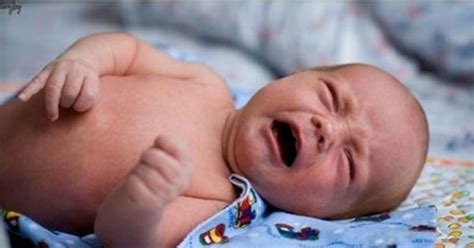 Нярай хүүхдийн уйлах дууны тайлал Өглөө мн