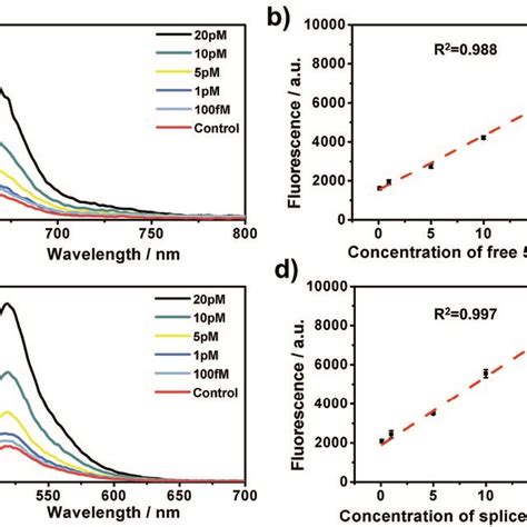 The Amplified Assay For Quantification Of The Two Step RNA Splicing