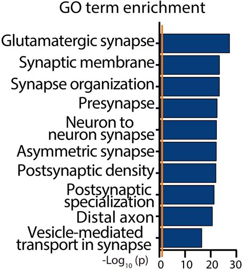 Mn：福建医科大学陈晓春 张静团队发现，乙酸盐或是中晚期阿尔茨海默病的潜在疗法！ 生物科技 健康一线资讯
