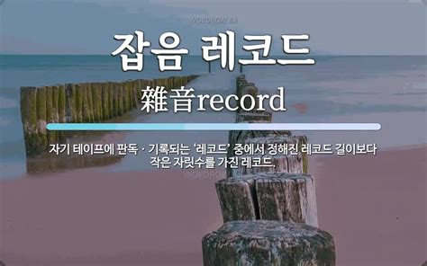 잡음 레코드 뜻 자기 테이프에 판독ㆍ기록되는 ‘레코드 중에서 정해진 레코드 길이보다 작은 자릿수를 가진