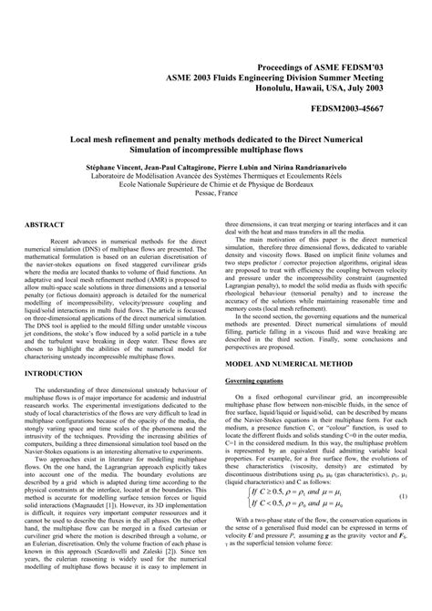 Pdf Local Mesh Refinement And Penalty Methods Dedicated To The Direct