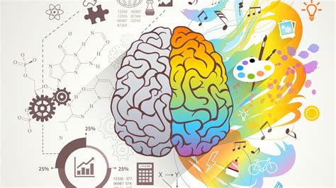 Left Brain Vs Right Brain What Is The Difference