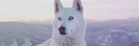 Spss Gepaarter T Test In 3 Schritten Rechnen