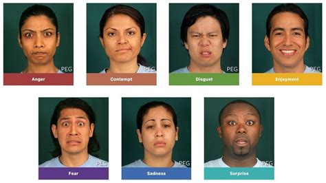 143 Reading Facial Expressions