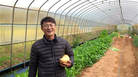 앞으로 여러분들께 농장을 분양을 할려고 해요 주말농장으로 Youtube